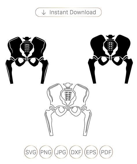 Hip bone Svg Hip bone Cut files Ortholife svg Hip bone Etsy México