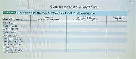 solved complete table for a eukaryotic cell