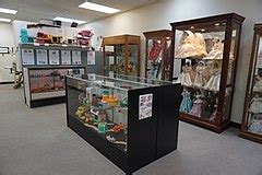 Categorymuseums Of Dolls Wikimedia Commons