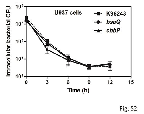 Analysis Of The Prevalence Secretion And Function Of A Cell Cycle