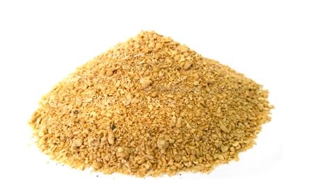 Soybean Processing Introduction