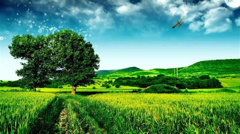 Green Field Wallpapers Wallpaper Cave