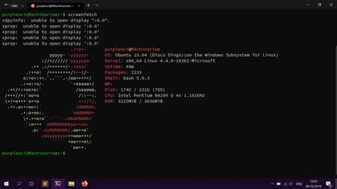 Command Line X Server Error On A Console App When I Dont Have Any X