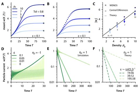 Numerical Simulation Of The Parabolic System Of Equations With L π M