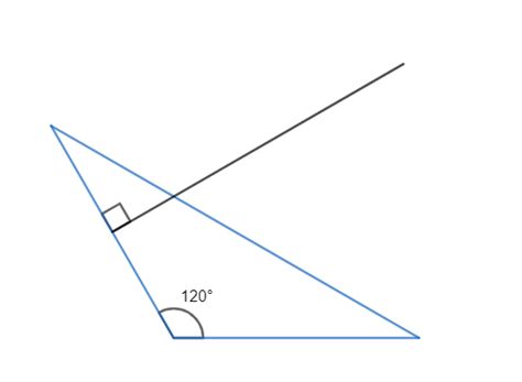 For What Kind Of Triangles Will The Perpendicular Bisectors Quizlet