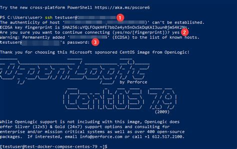 Usage Guidelines Linux 7 9 With Docker Compose Virtual Pulse S R O News