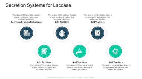 Secretion Systems For Laccase Powerpoint Presentation And Slides Slideteam