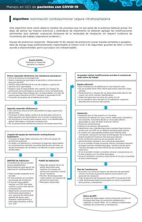 Algoritmo Reanimacion Algoritmo reanimación cardiopulmonar segura intrahospitalaria Evento