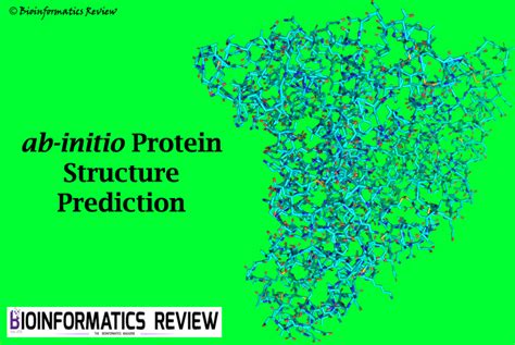 Ab Initio Prediction Of Protein Structure An Introduction Bioinformatics Review