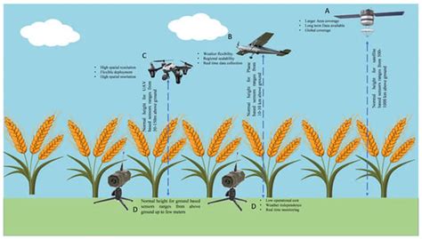 Uav Hyperspectral Imaging Revolutionizes Potato Crop Health Monitoring Agritech Insights