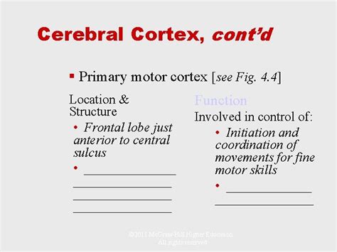 Chapter 4 Neuromotor Basis For Motor Control Concept