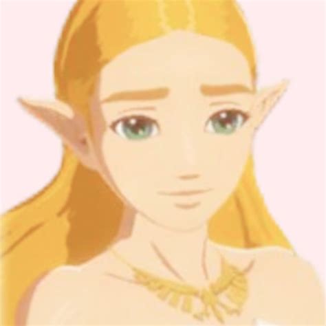 Botw Zelda Icon Legend Of Zelda Aurora Sleeping Beauty Princess Zelda