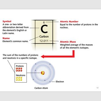 Octet Rule And Chemical Bonds By Discover Dazzling Nature TPT