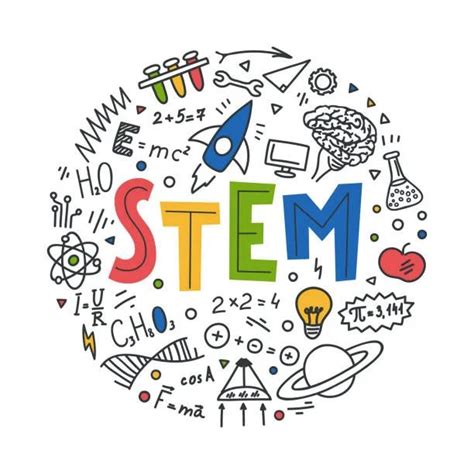 What Makes The Best Stem Company Stand Out In Education Science