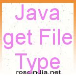 Java Get File Type