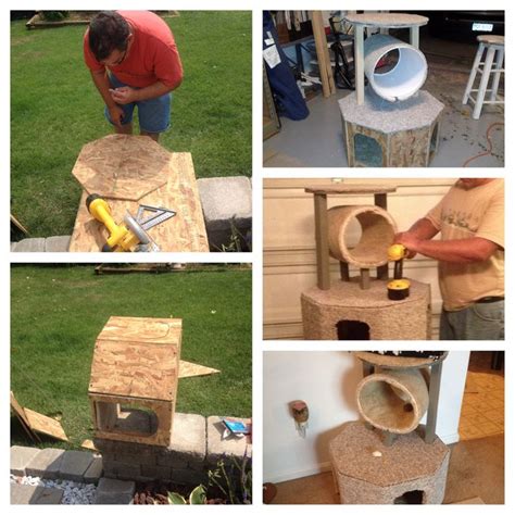 DIY Easy Cat Condo Made From Plywood And Gallon Bucket And Carpet In Cat Condo