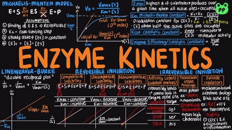Enzyme Kinetics Enzymes 03 Biochemistry Pp Notes Lehninger 6e