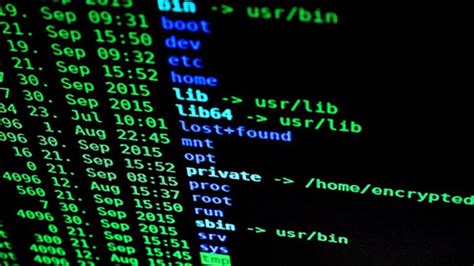 Searching Inside File Contents Using Linux Commands Crnx