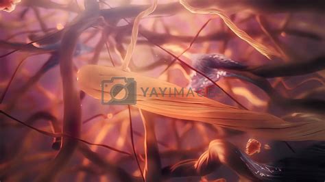 Connective Tissue Growth Factor Promotes The Proliferation And Differentiation Of Chondrocytes