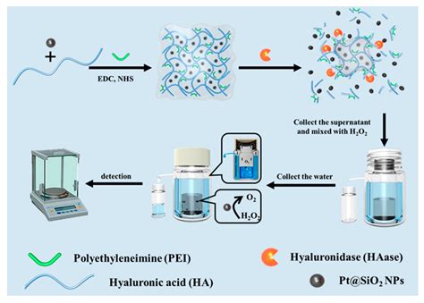 Chemosensors Free Full Text The Advances Of Hydrosol Gel Transition Based Sensors
