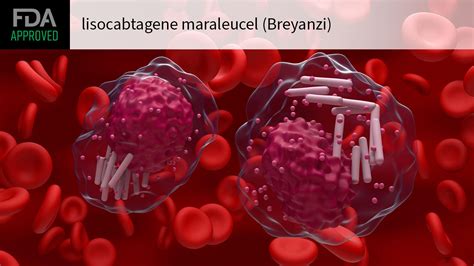 Fda Approves First Car T For Chronic Lymphocytic Leukemia Medpage Today