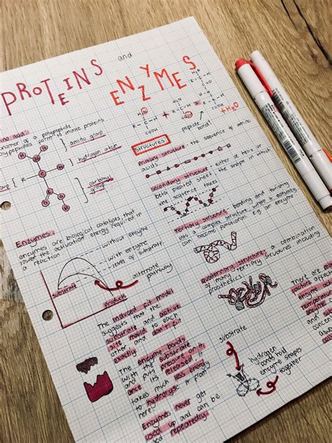 Enzyme Revision Notes