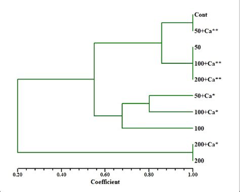 similarity matrix among treatments based on protein profile using