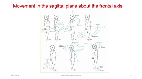 Anatomical Plane And Axis General Anatomy Ppt Free Download