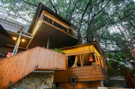 A Saigon café climbs trees to serve its customers Read to lead