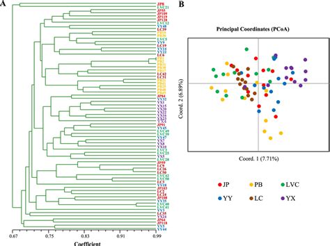 Cluster Analysis And Principal Coordinate Analysis Pcoa Based On The