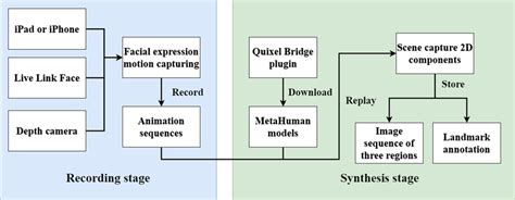 Flowchart Of The Virtual Database Synthesis Download Scientific Diagram