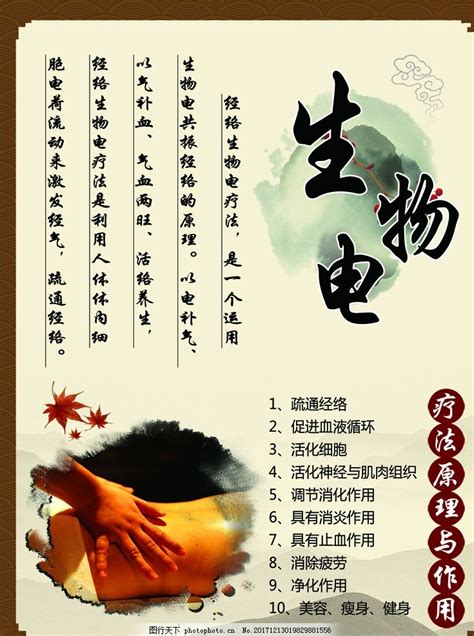 生物电疗图片标识logo标识 图行天下素材网