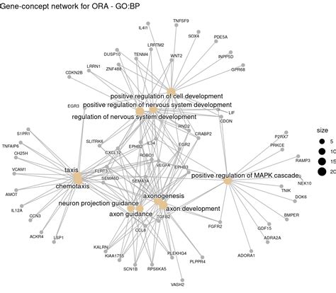Part 5 Pathway And Enrichment Analysis Introductory Bioinformatics
