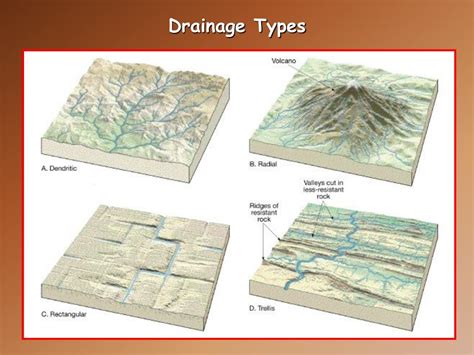 What Are The Different Types Of Drainage Pattern Class 9 At Mildred Fulcher Blog