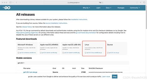 ubuntu22 04 安装 最新的go语言环境 ubuntu 安装golang 1 23 csdn博客