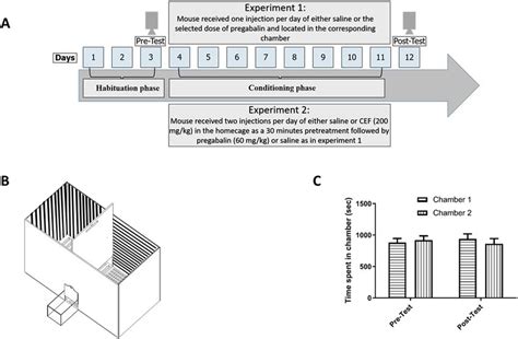 Experimental Design Of The CPP Experiment 1 And 2 A Diagram Of The Download Scientific
