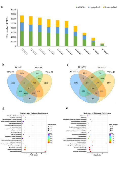 Transcripts Annotated In Four Databases A Nr Homologous Species Download Scientific Diagram