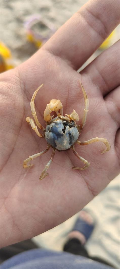 用户照片 喵潜AI鱼类辨识 FISH ID 你的在线鱼书