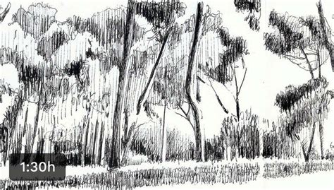 Drawing Trees Cross Hatching A Full Sketchbook Spread Tree Drawing