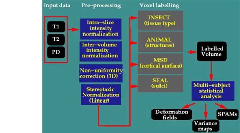 Mri Image Analysis Pipeline Multiple Input Mri Volumes Undergo Download Scientific Diagram