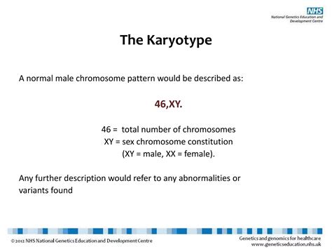 Introduction To Genetics For Beginners Pptx