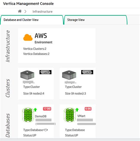 viewing cluster infrastructure vertica 12 0 x