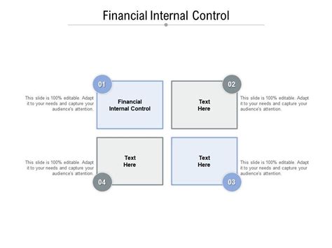 Financial Internal Control Ppt Powerpoint Presentation Icon Maker Cpb