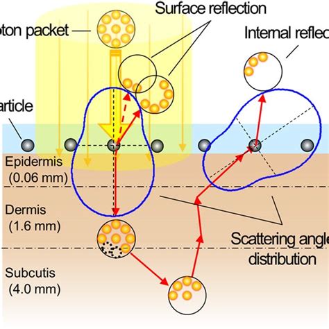 Pdf Monte Carlo Simulation Of Light Reflection From Cosmetic Powder