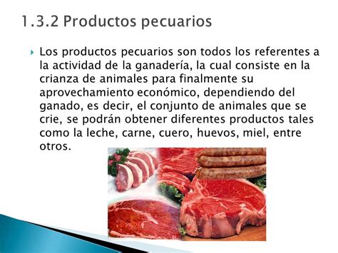 Berzunza Elizalde Jorge Alberto Fernández Cuevas Mónica Paola Hernández
