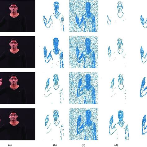 sign language datasets used in this work are captured from various