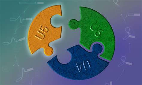 Building Cells Splicing Machine Mirage News