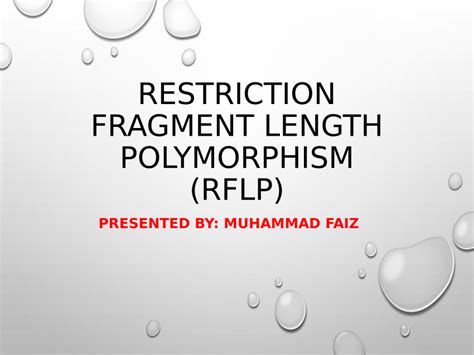 Pdf Rflp Technique