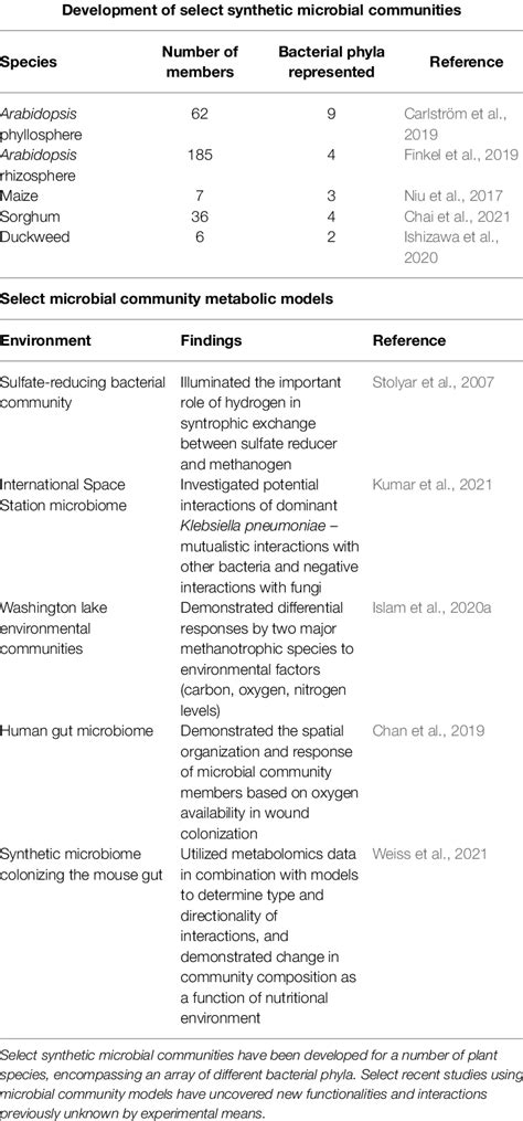 Highlighted Synthetic Microbial Communities And Community Metabolic