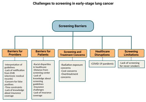 Assessment Of Barriers And Challenges To Screening Diagnosis And